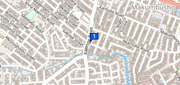 Mambise Liquor Store, Kajenge Road Dar es salaam TZ, phone +255 688 175 351